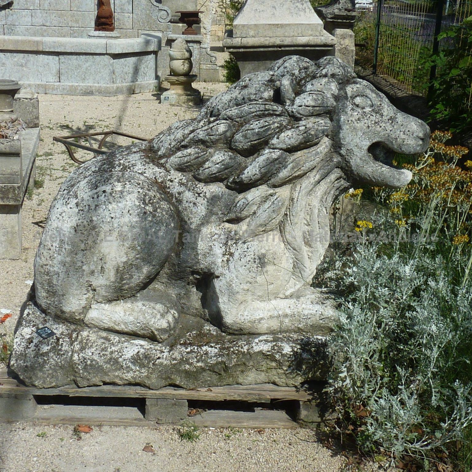 Sculpture ancienne - superbe sculpture en pierre représentant un lion.