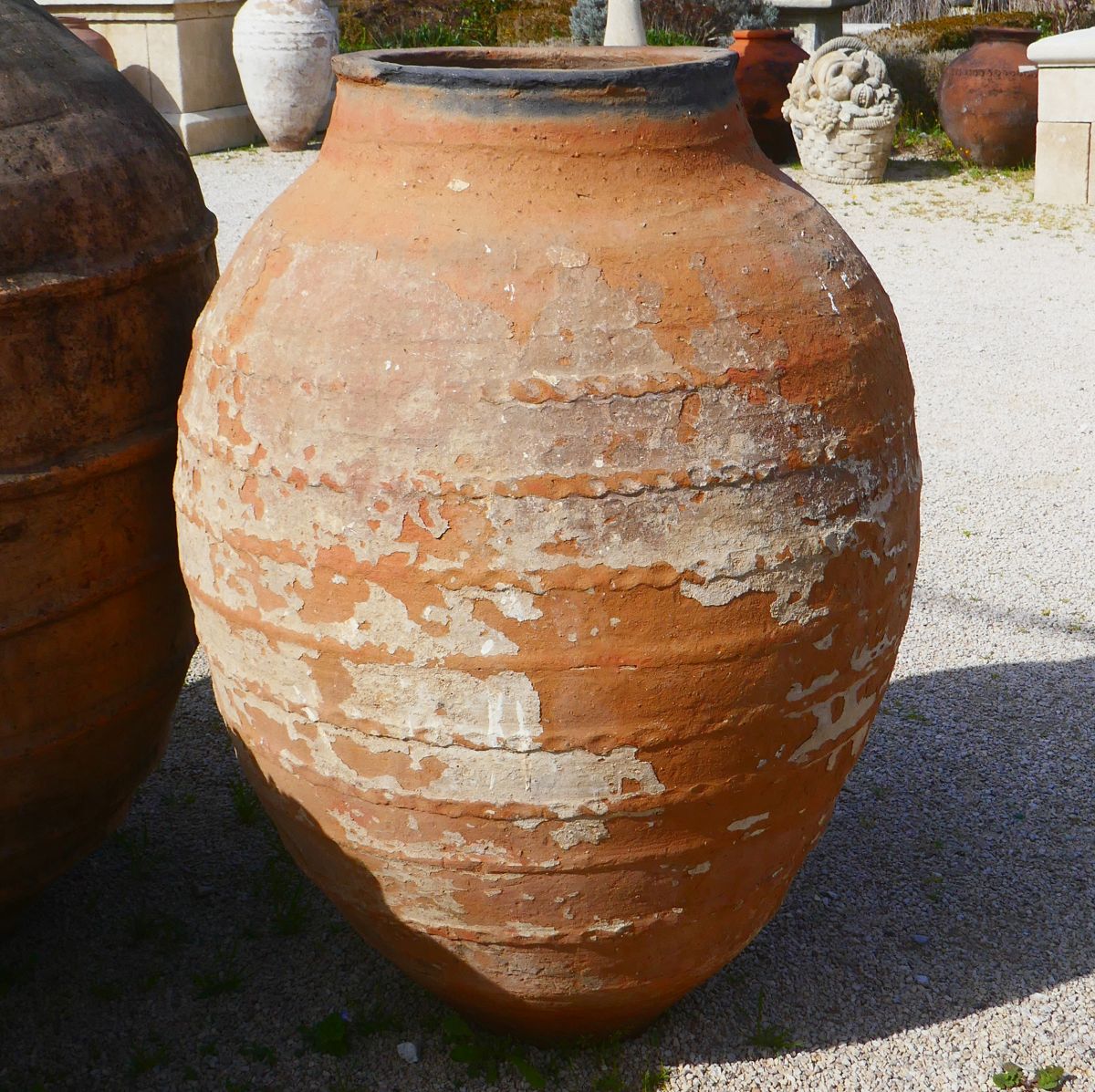 Large jarre turque du 19° siècle : ancienne jarre de Méditerranée